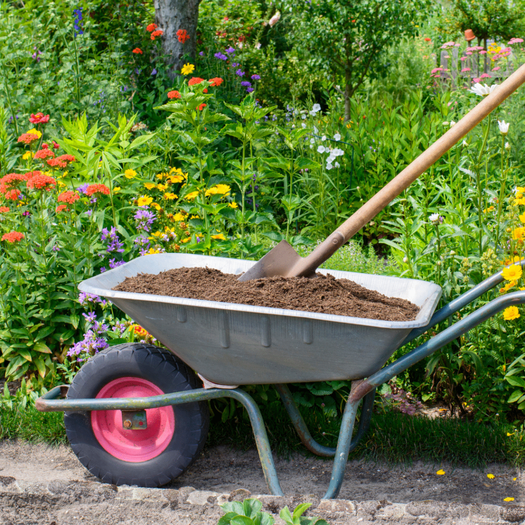 Eco-Friendly Yard Tips for Brisbane Homes - Yard Space Innovations
